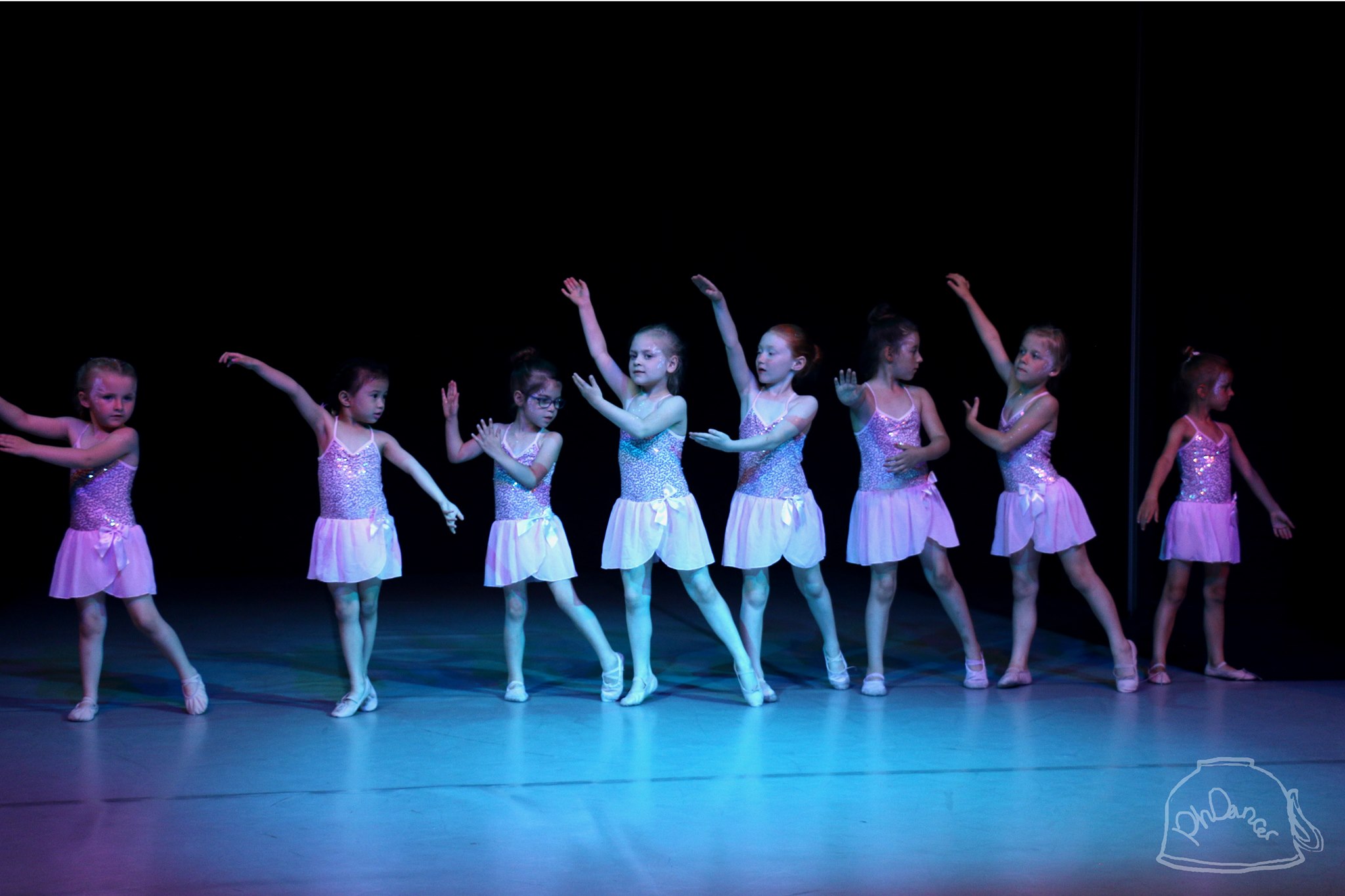 Sections – Shirley Dance Festival